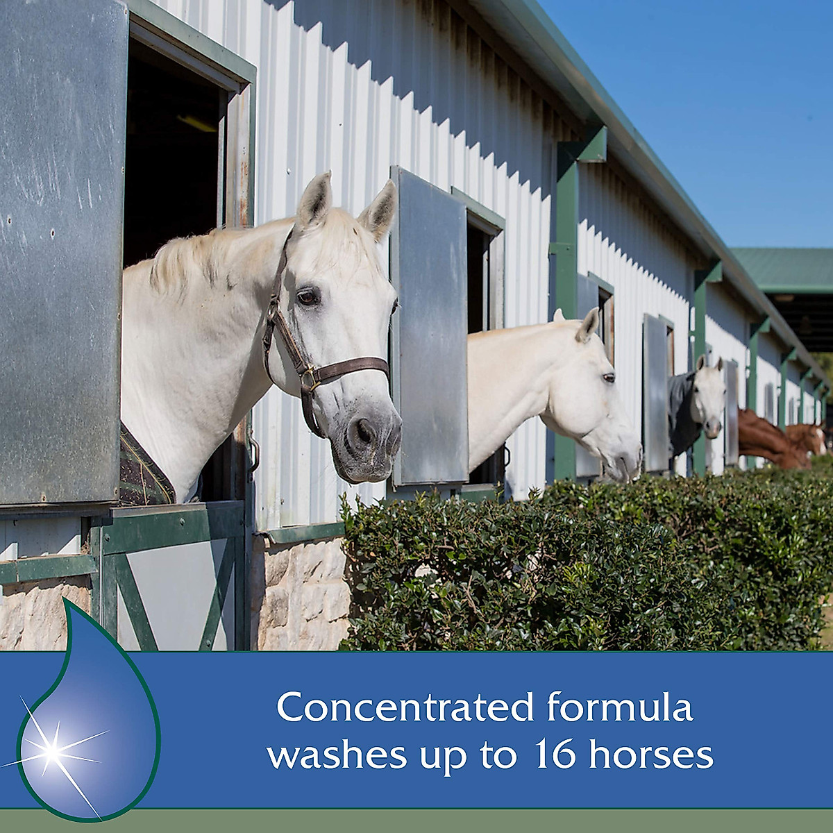 Farnam Vetrolin Bath Ultra-Hydrating Shampoo for Horses and Dogs, 32 Ounces