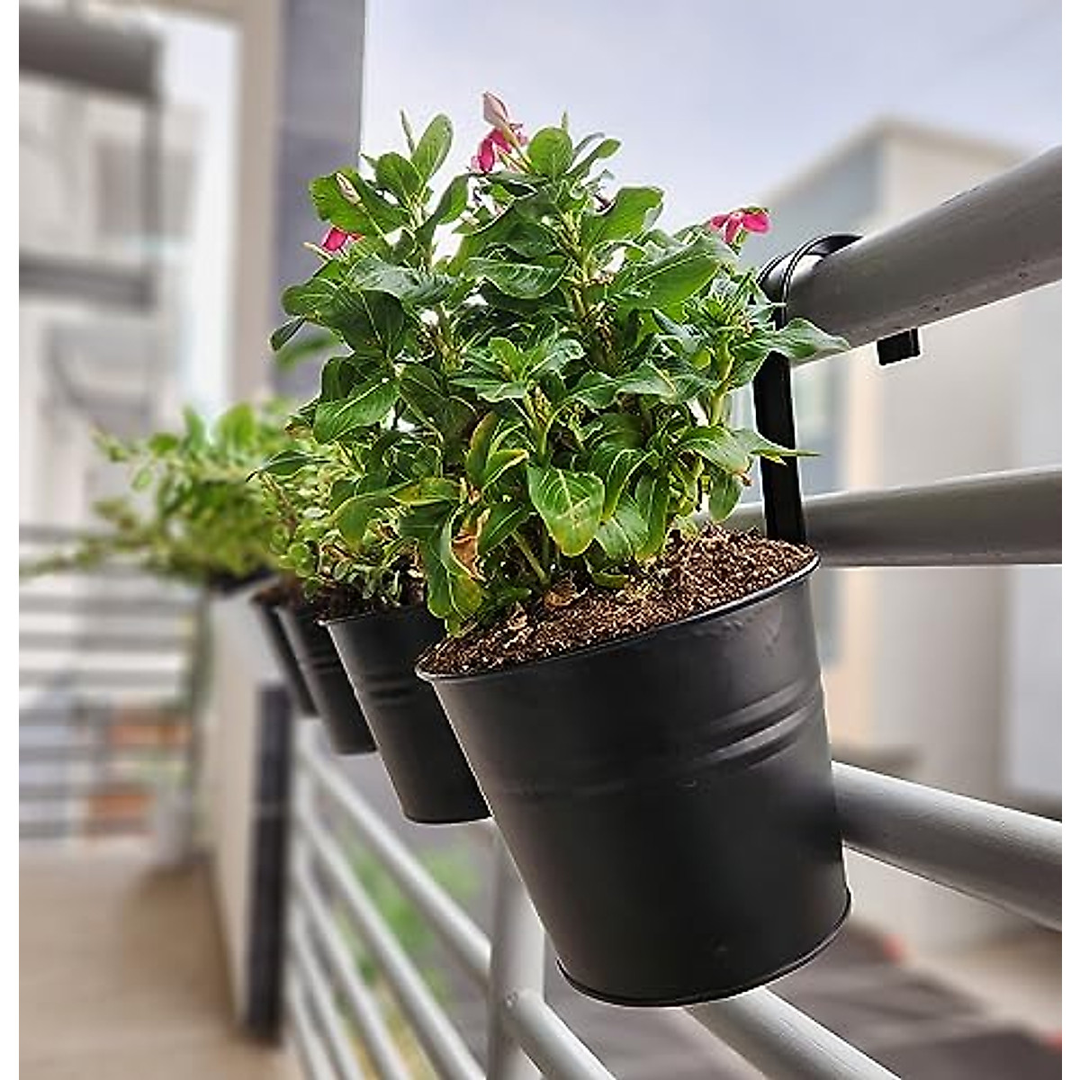 GARDEN4LIFE 6.25 Inch Large Iron Hanging Plant Pot Set - Planters for Indoor Plants & Outdoor Flora w/Drainage Hole, Detachable Hook - Ideal Balcony Planters Fence Railing Hanging Pots - 4Pcs Black
