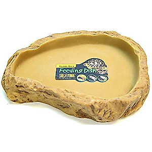 Exo Terra Feeding Dish [Set of 2] Size: Medium (1" H x 5.5" W x 4.5" D)