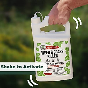 Weed & Grass Killer – Natural Vinegar Weed Killer – for Organic Use – 1 Gallon - Glyphosate Free - OMRI - Shake Well