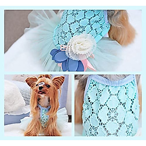 MSNFOASM 2Pack Dog Sweetie Flower Mesh Dress,Dog Lace Tutu Skirt Wedding Dress for Small Girl Dogs Cats（Pink&Green M）