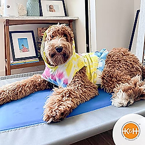 K&H PET PRODUCTS Coolin' Pet Cot, Cooling Cot for Dogs - Gray/Blue, Large 30 X 42 X 7 Inches
