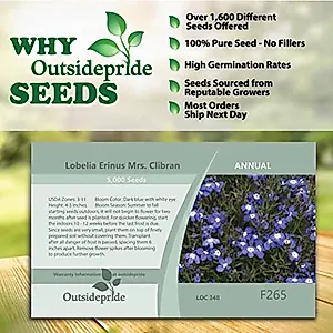 Outsidepride Lobelia Mrs. Clibran for Edging Borders, Rock Gardens, Hanging Baskets, Window Boxes, & Ground Cover - 5000 Seeds