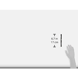 Amazon Basics Rollerball Pen, Micro Point (0.5mm), Black, 24 Pack