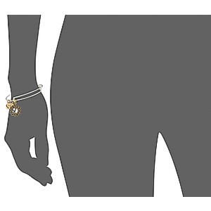 Alex and Ani Women's Pisces Two Tone Bangle Bracelet