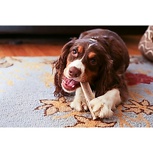 Pet Parents Gnawtlers® - Premium Split Antlers for Dogs, Naturally Shed Split Elk Antlers, All Natural Split Elk Antler Dog Chew, Specially Selected from The Heartland Regions (Medium (Pack of 1))