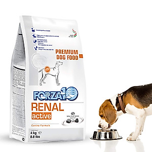 Forza10 Kidney Care Dog Food, Dry Renal Dog Food for Adult Dogs, 8.8 Pound Bag, Fish Flavor Kidney Failure Dog Food for All Breeds and Sizes