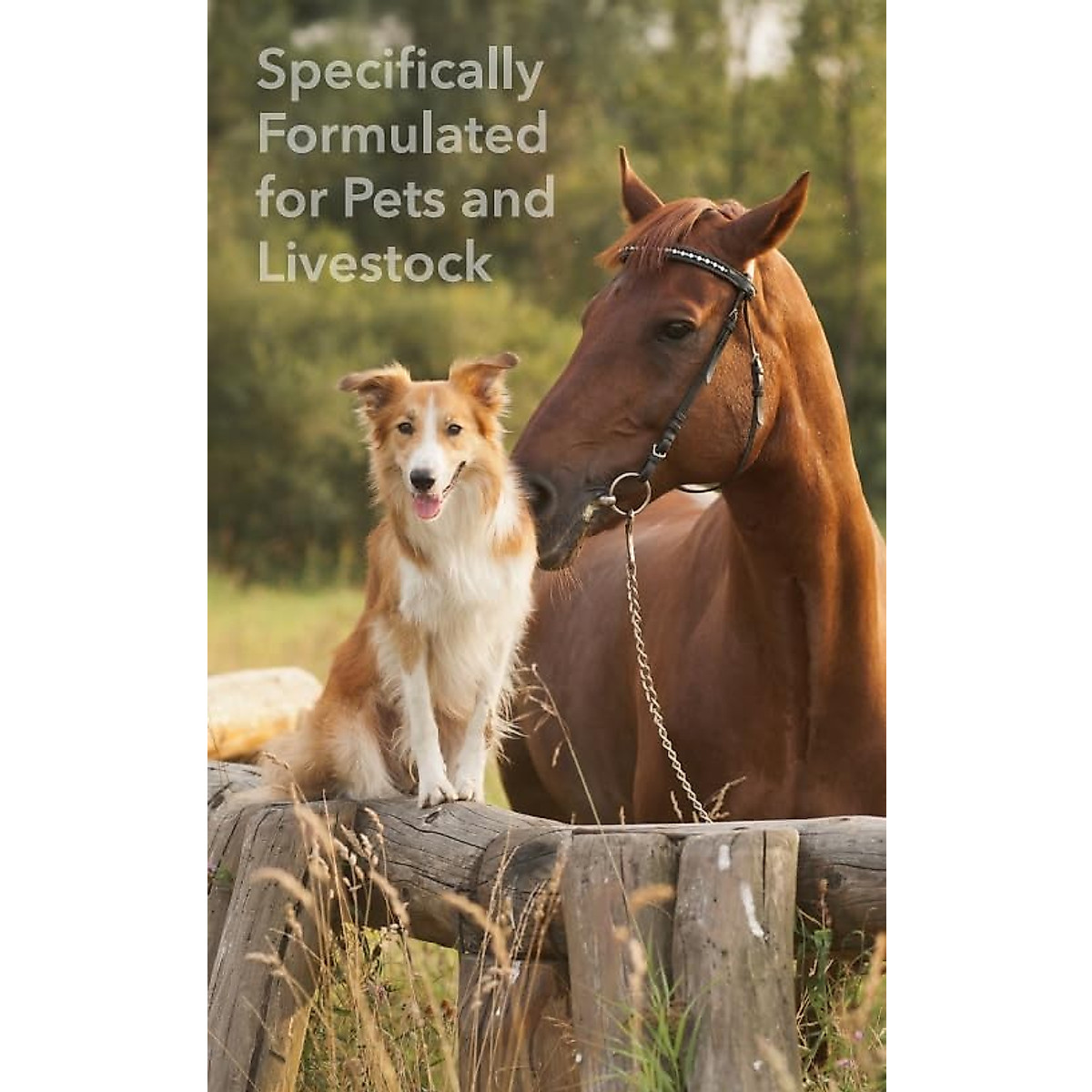 VetriCleanse Pet Itch Relief & Wound Care Spray with Hypochlorous Acid - Skin + Coat Care - Dog & Cat Deodorizer, Eye Cleaner & Ear Cleaner for All Animals - 225ml