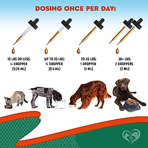 Natural Herbal Antibiotics for Cats and Dogs - Kennel Cough Relief & Urinary Tract Support - Cranberry UTI Treatment Pet Supplement - Respiratory & Cold Infection Medicine - Made in USA