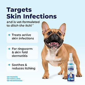 Vetnique Dermabliss Medicated Chlorhexidine Antiseptic Skin Spray for Dogs & Cats, Supports Skin Infections and Irritations 8oz