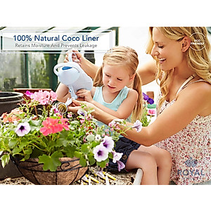 Royal Imports Metal Hanging Planter Flower Basket with Coco Coir Liners 13" Round Wire Outdoor Porch Balcony Garden Décor, Set of 2