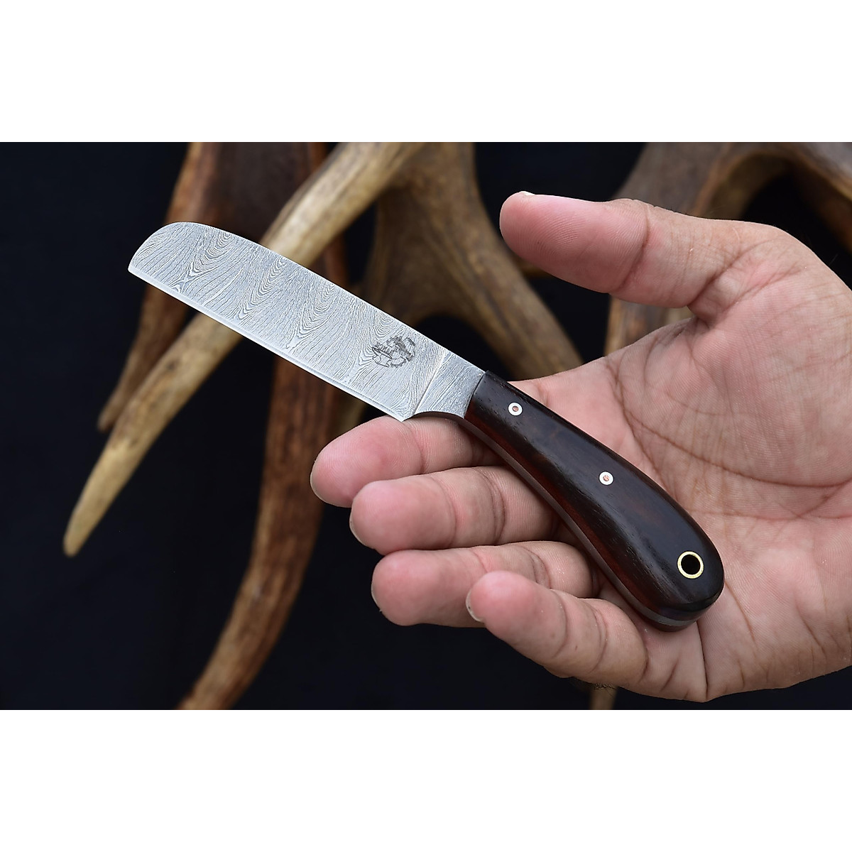 Knives Ranch Damascus Steel Small Castrator with Indian Rosewood Handle Dual Carry Vertical or Horizontal Cowboy Crossdraw Leather Sheath (3177-IRW)