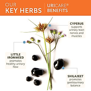 Himalaya UriCare Herbal Supplement, Kidney & Bladder Support, Urinary Tract & Urine Flow Support, Caffeine-Free, Non-GMO, Gluten Free, Vegetarian, 120 Capsules, 30 Day Supply