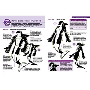 How to Draw Manga Furries: The Complete Guide to Anthropomorphic Fantasy Characters (750 illustrations)