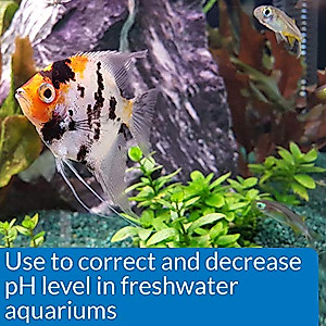 Aquarium Pharmaceuticals 30B pH Down Aquarium pH Adjuster, 16 oz., Model Number: 17163020301