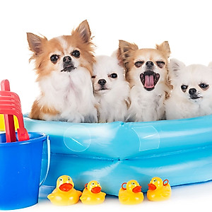 Outus 10 Pieces Pool Patch Repair Kit PVC Inflatable Pool Float Patches for Above Ground Pools Blow up Pool Liner Patch Kit for Pool Toy Inflatable Swimming Pool Products (Clear)