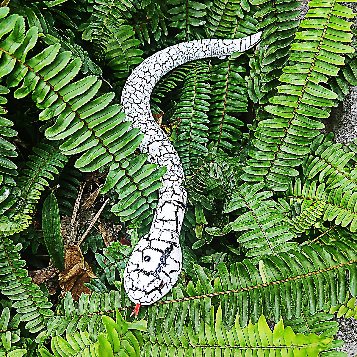 Tipmant RC Snake IR Remote Control Crawler Fake Realistic Animals Vehicle Scary Prank Toys Kids Halloween (White)