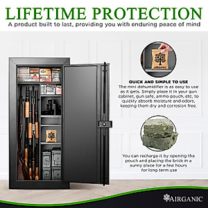 Airganic Moisture Absorbers, Safe Dehumidifier - USA-Made & All Natural from Minerals - Reusable Dessicant, Safe Accessory, Car Dehumidifier, Closet Dehumidifier - Kid & Pet Friendly (1 Pack)