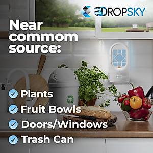 Dropsky Indoor Flying Insect Trap - Plug-in Bug Light Trap for Fruit Flies, Gnats and Houseflies - Odorless and Mess Free (2 Traps + 2 Glue Cards)