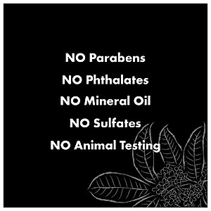 SheaMoisture Balancing Moisturizer for Dry Skin African Black Soap with Shea Butter 2 oz