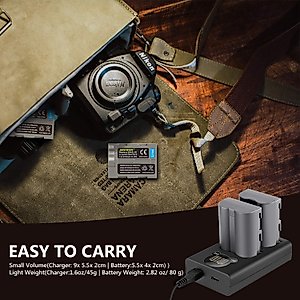 Neewer 2100 mAh Replacement Battery for Nikon EN-EL3e with Dual USB Charger with LCD Display Compatible with Nikon D50 D70 D70s D80 D90 D100 D200 D300 D300s D700