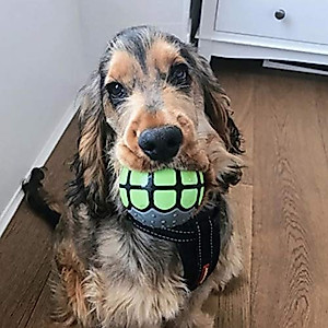 Dawg Grillz Dog Balls Toys Squeaky Fetch - Rubber Funny Ball Gifts for Large Medium Dogs (Variety Pack)
