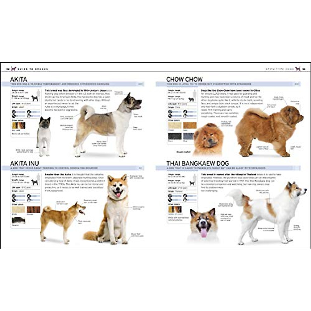 The Complete Dog Breed Book, New Edition (DK Definitive Pet Breed Guides)