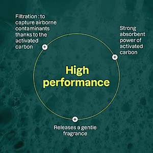 ATTITUDE Air Purifier, Activated Carbon Freshener, Odor Remover, Plant and Mineral-Based, Vegan, Coriander and Olive, 8 Ounces