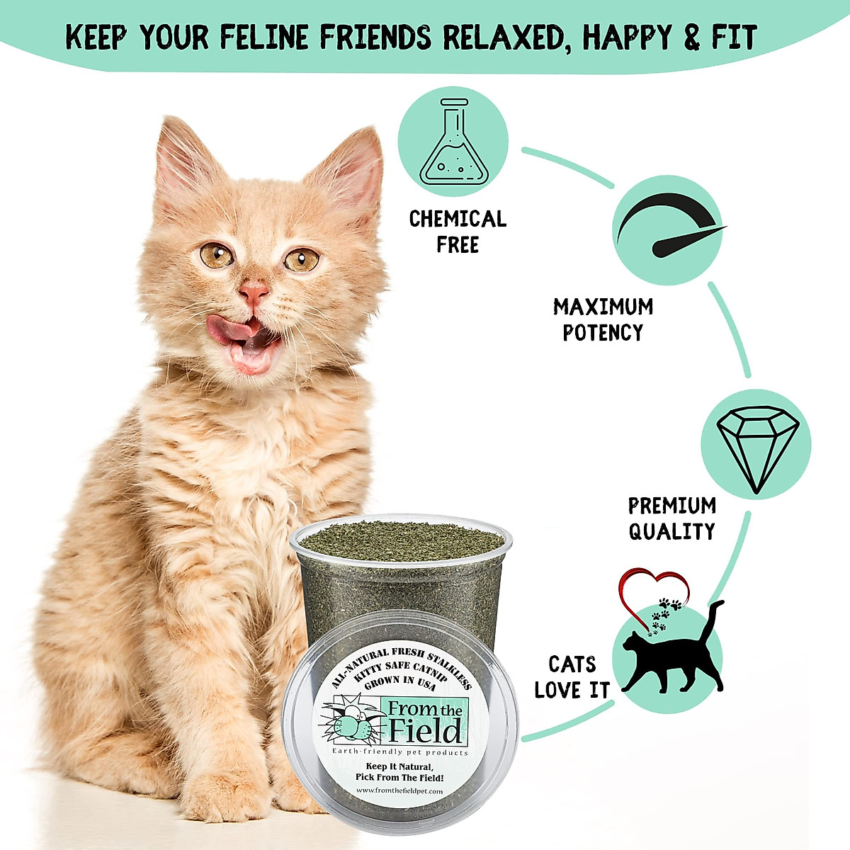 From The Field 6-Ounce Catnip Kitty Safe Stalkless Tub