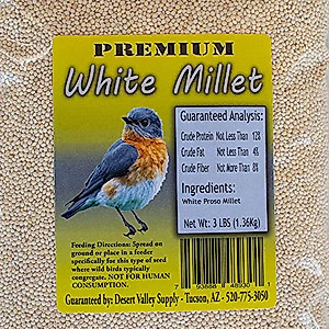 Desert Valley Premium White Millet Proso Seeds - Wild Bird Food- Cardinal, Finch & More (3-Pounds)