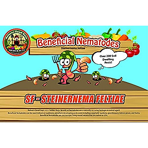 NaturesGoodGuys Beneficial Nematodes SF Steinernema feltiae - 50 million