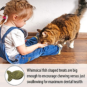 Emerald Pet 6 Pack of Catnip Feline Dental Treats, 3 Ounces Each, Grain-Free Cat Treats Made in The USA