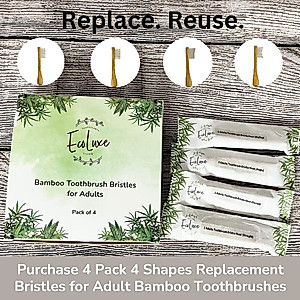EcoLuxe Manual Bamboo Toothbrush with Replaceable Castor Bean Oil Medium Firm Bristles for Adults, 2 Packs