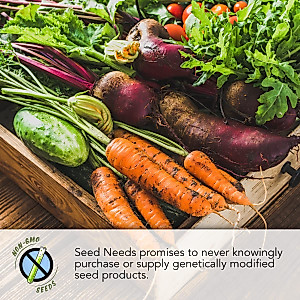 Seed Needs, Multicolor Radish Seed Packet Collection (6 Individual Varieties of Radish Seeds for Planting) Non-GMO & Untreated