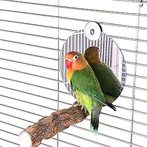 Bird Mirror with Perch,5.1 inch Stainless Steel Parrot Mirror Toys for Greys Amazons Parakeet Cockatiel Conure Lovebirds Finch Canaries (5inch with Perch)