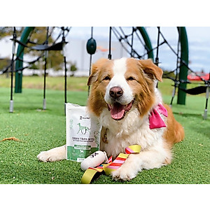 Kōrure Pets Dog Green Tripe Bites