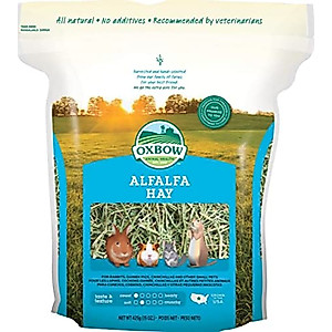 Oxbow Animal Health Alfalfa Hay Small Animal Food 15 Oz, Plus Simple Rewards Baked Treats with Apple & Banana and Carrot & Dill - 3 Oz Each, Plus My Buddy Notepad (4 Items Total)