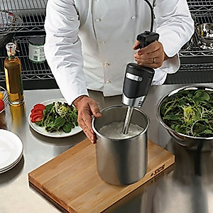 Waring (WSB40) 10" Medium-Duty Quik Stik Plus Immersion Blender,Black/Silver