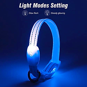 Visinite Light Up Dog Collars for Small Dogs,LED Dog Collar Light Rechargeable,Fully Adjustable Lighted Dog Collar,Glow in The Dark Dog Collars with Dog Lights for Night Walking,Blue