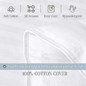 Elegant Comfort Premium Hotel Quality 1200 Thread Count 100% Egyptian Cotton, 3-Piece Stripe Down Alternative Cotton Comforter Set - Box Stitched - Duvet Insert with 4 Corner Tabs, Twin XL, White