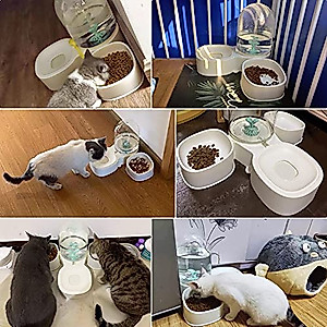 PetEiZi 2 in 1 Double Pet Cat Food Feeder Bowls 2.0L Large Automatic Unplugged Dog Water Dispenser Detachable No-Spill for Cats and Small Puppy Dogs - White
