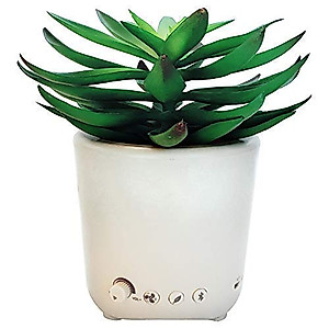 Sleep Plant - Sound Machine - Fan Sounds - White Noise - Nature Sounds