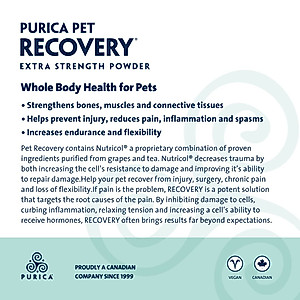 PURICA Recovery SA Powder 350g - Advanced Support for Joints, Comfort & Mobility in Dogs & Cats - Natural & Safe Supplement