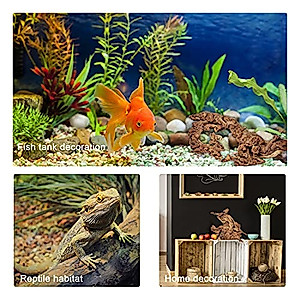 Aucks Natural Large Driftwood for Fish Tank Decoration,12 Inch-14 Inch Pack of 2 Pieces, Driftwood for Aquarium Reptile Decor, Brown