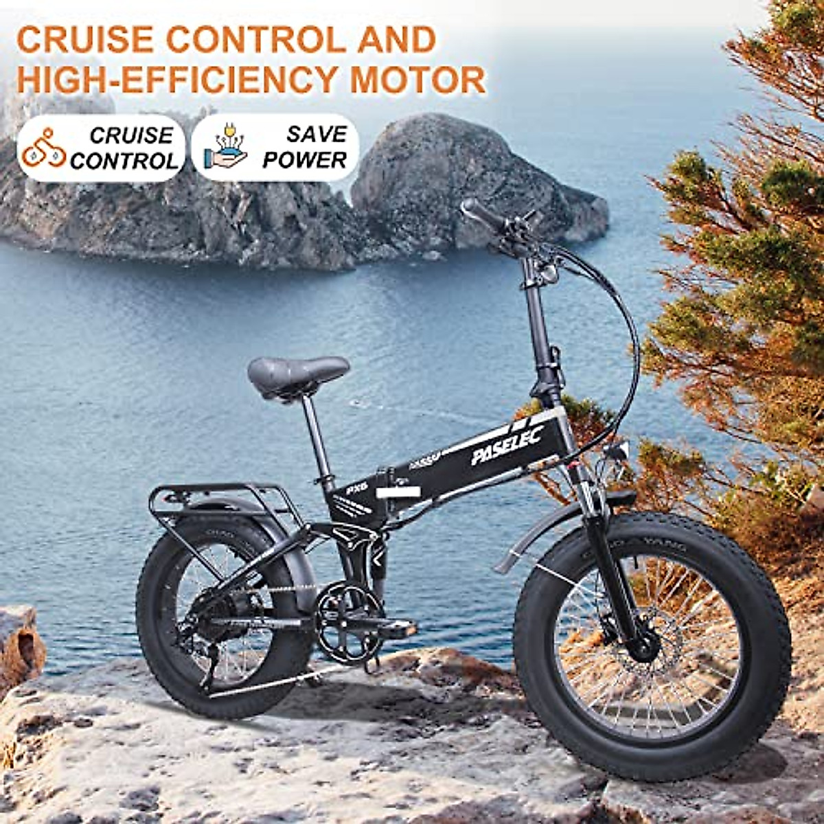 LEONX PASELEC Electric Bikes for Adults 20'' Folding Electric Bicycle,Hydraulic Brakes,48V 12ah 750W Motor Ebike Fat Tire Mountain e-Bike,Full Suspension, 9 Gears Cycle for Men Women (Black)