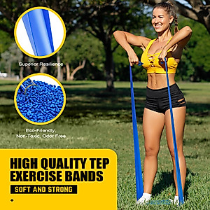 Exercise Resistance Bands, Physical Therapy Bands, Strength Training, Yoga, Pilates, Stretching, Non-Latex Elastic Band with Different Strengths,Workout Bands for Home