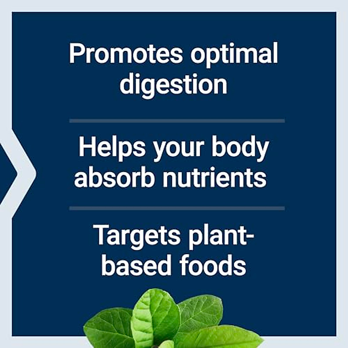 Life Extension Enhanced Super Digestive Enzymes, Supports Digestion, Comfort, digesting Plant-Based Foods, Non-GMO, Vegetarian, 60 Capsules