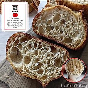 Fresh Sourdough Starter