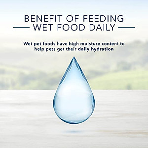 Blue Buffalo Delights Natural Adult Small Breed Wet Dog Food Cups, Pate Style, Angus Beef Flavor in Savory Juice 3.5-oz (Pack of 12)