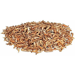 Aqueon Monster Fish Medley Food, 3.5 Ounces Each (2 Pack - 3.5 oz)